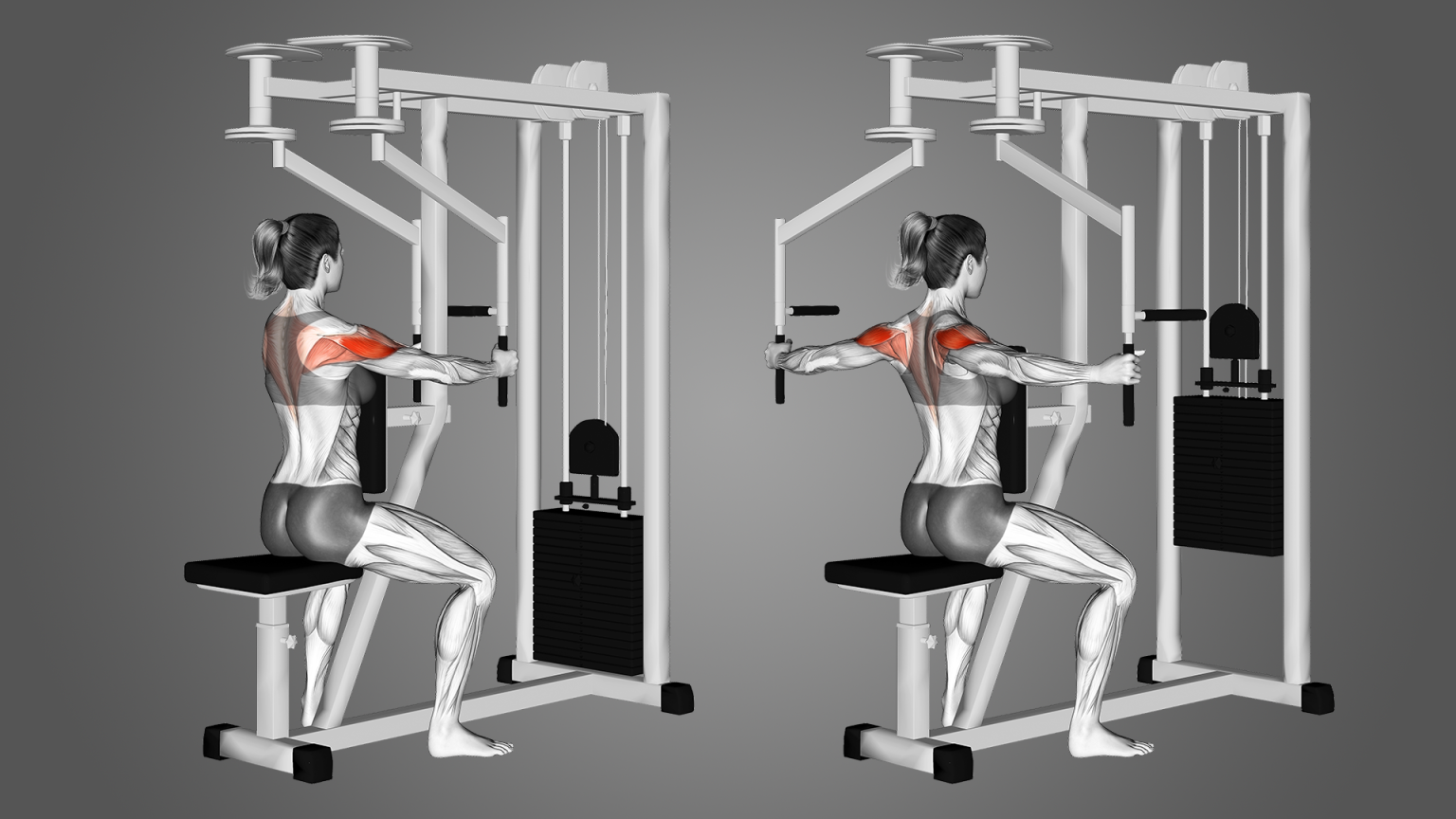 Machine Rear Delt Fly Tutorial | 4WRD Fitness