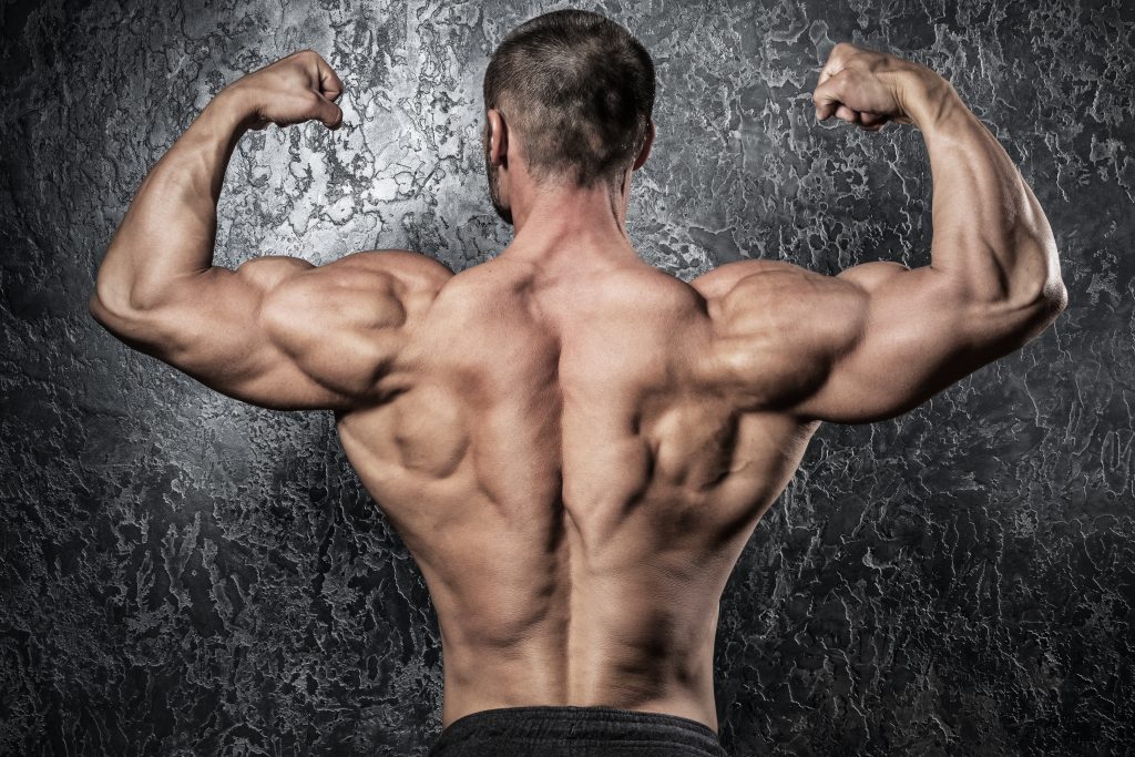 Machine Rear Delt Fly Tutorial | 4WRD Fitness
