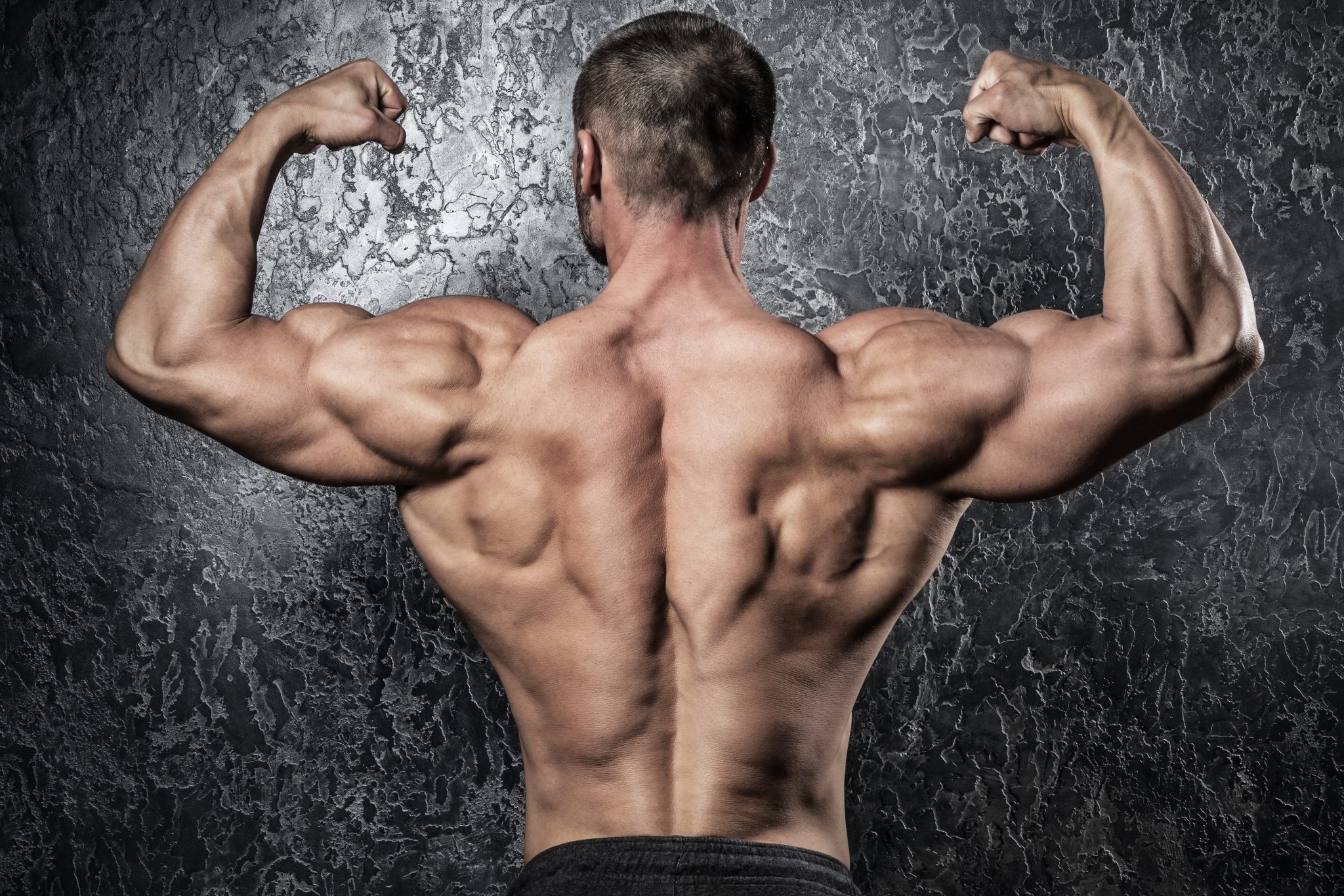 Machine Rear Delt Fly Tutorial | 4WRD Fitness